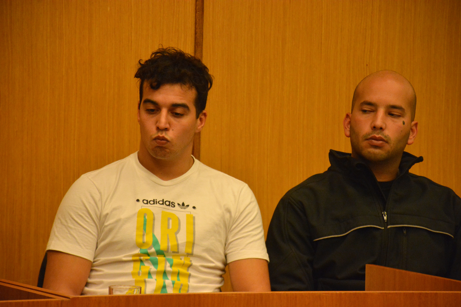 Los motivos por los que Norry no fue preso - Diario Río Negro