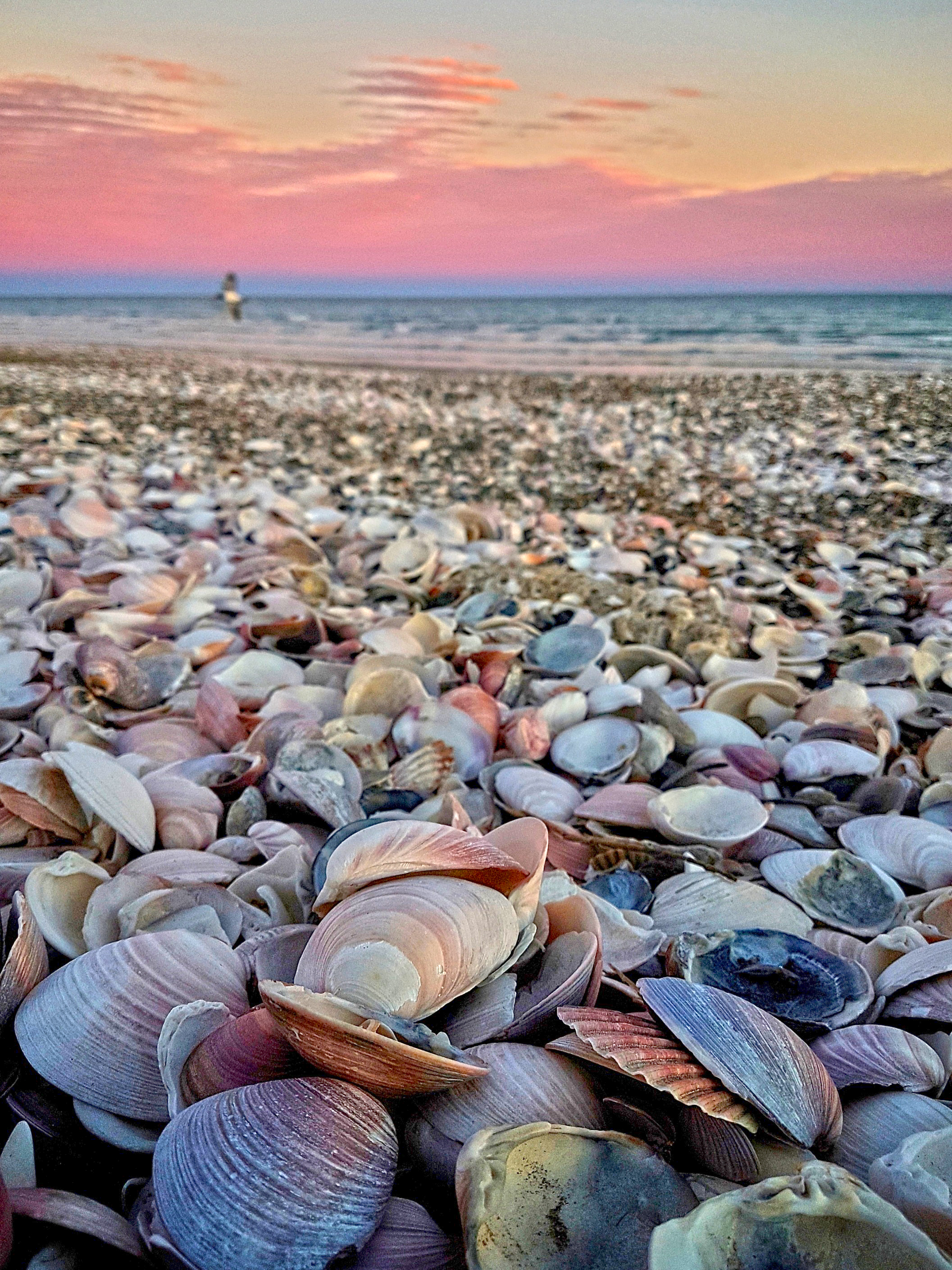 La Conchilla: tranqui, agreste, inolvidable - Diario Río Negro