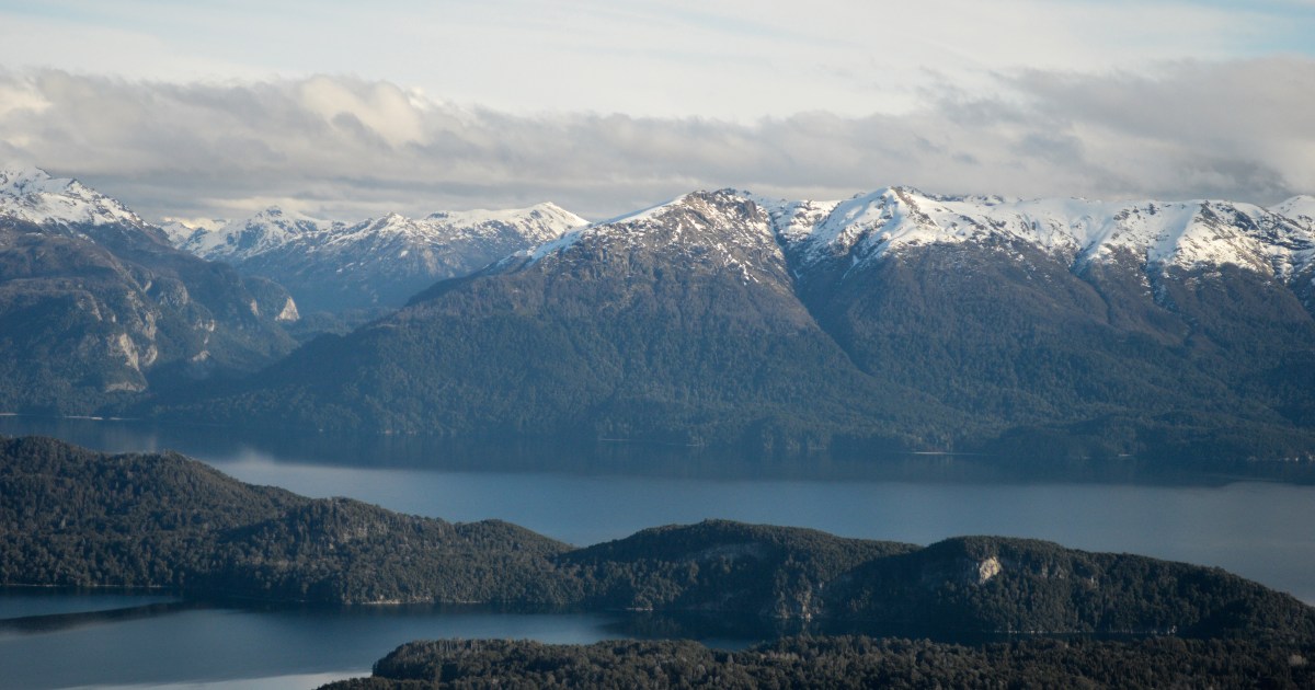 Monitorean la floración masiva de caña colihue en la cordillera ...