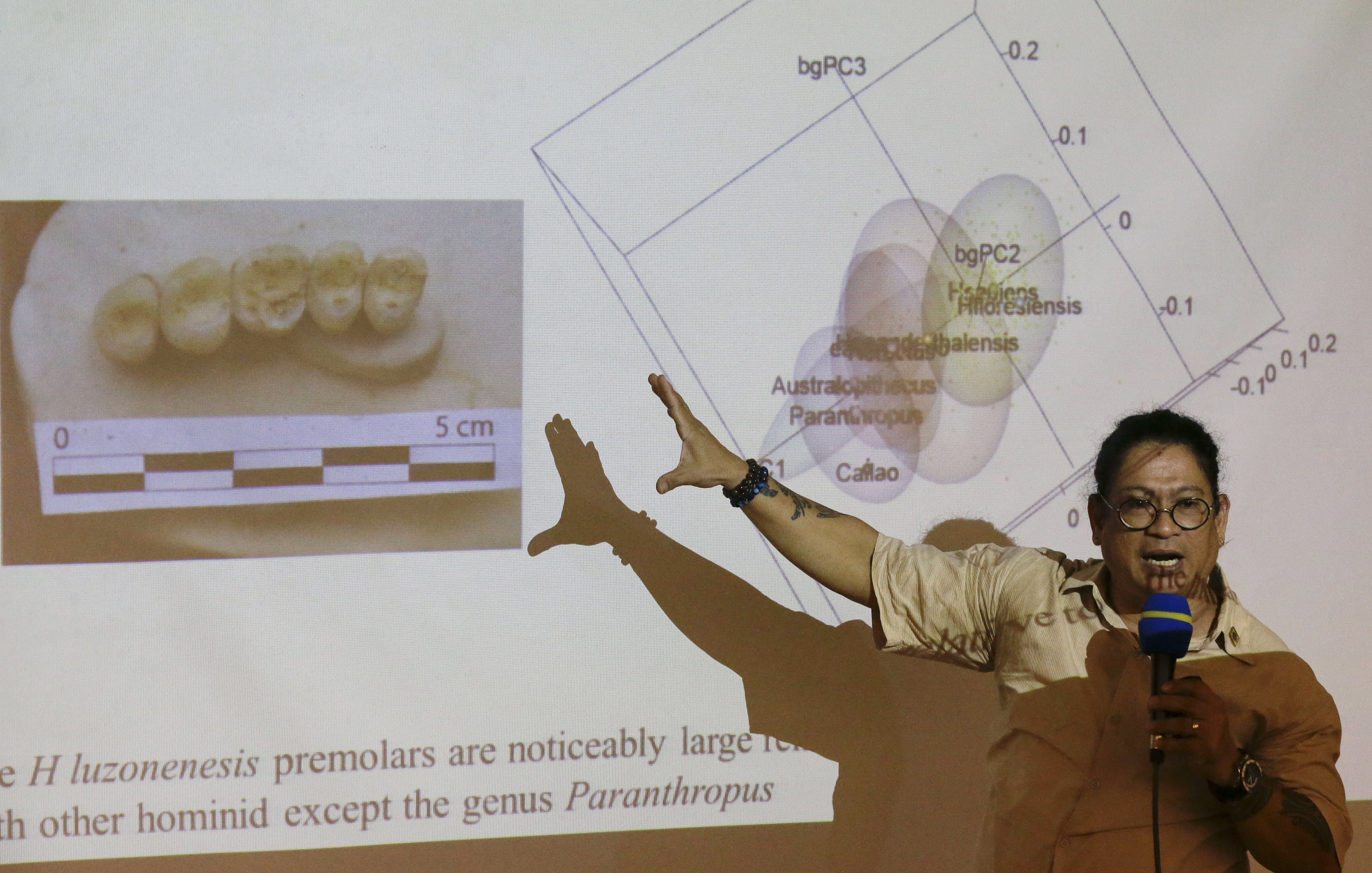 «Homo luzonensis», la nueva especie humana descubierta en Filipinas ...