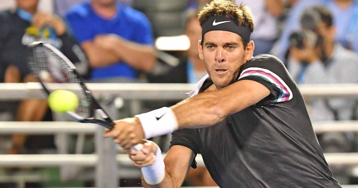 Del Potro se mantuvo en el ranking de la ATP