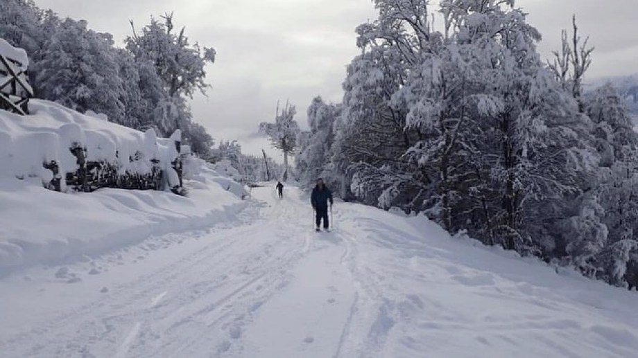 Noticias de los cerros en la mejor temporada de la década