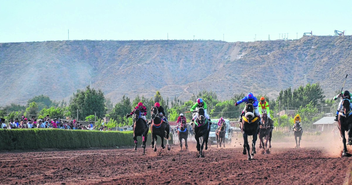 Tragedia en las carreras de caballos: Río Negro tiene una ley que las ...