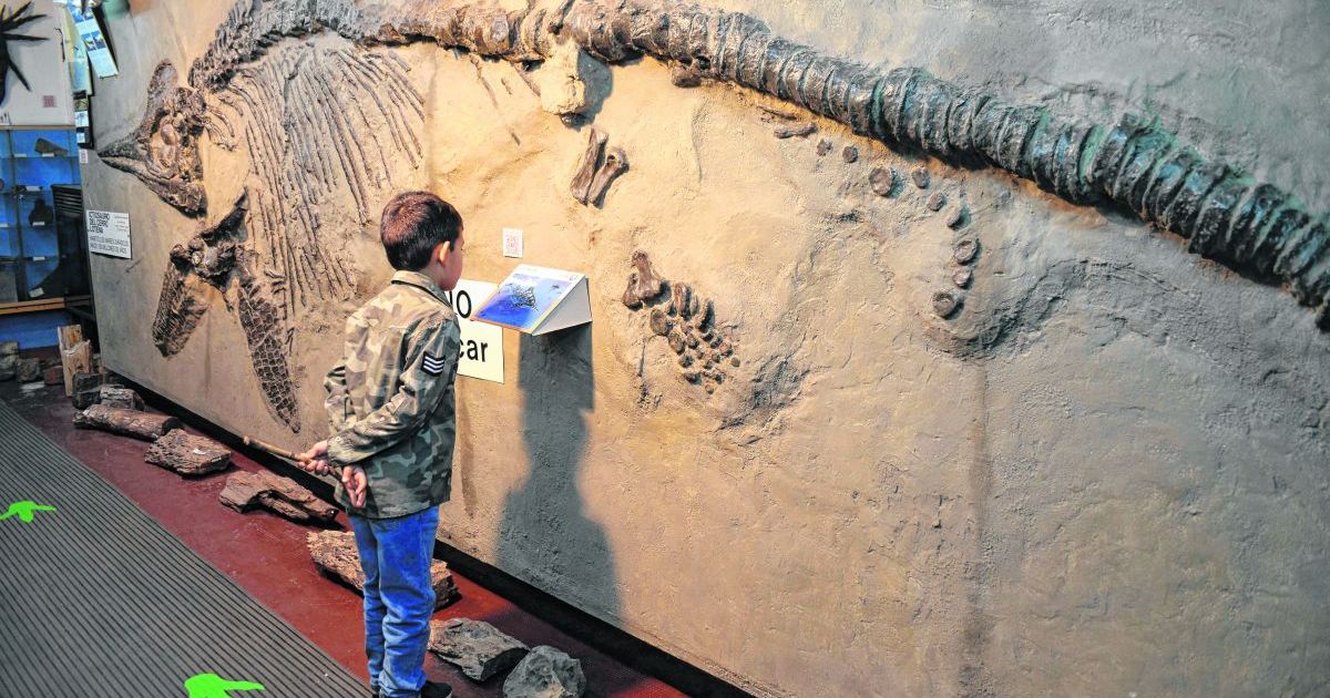 Un paseo por los museos de Bariloche - Diario Río Negro
