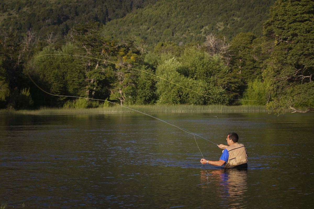 Apertura de la temporada de pesca: cuánto sale el permiso y dónde se ... Apertura de la temporada de pesca: cuánto sale el permiso y dónde se ...