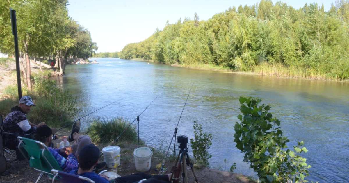 Las islas del río son de una constructora - Diario Río Negro