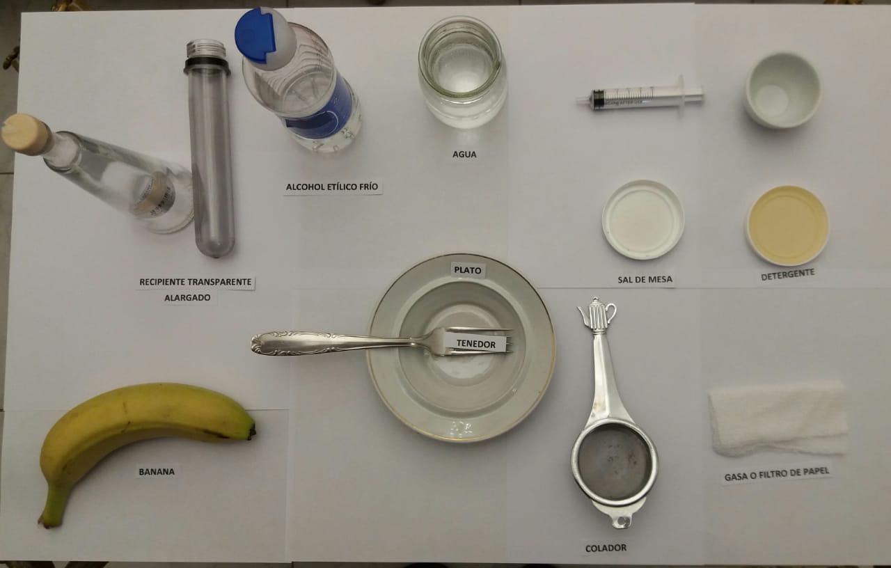 Ciencia En Casa Cómo Extraer El Adn De Una Banana Diario Río Negro