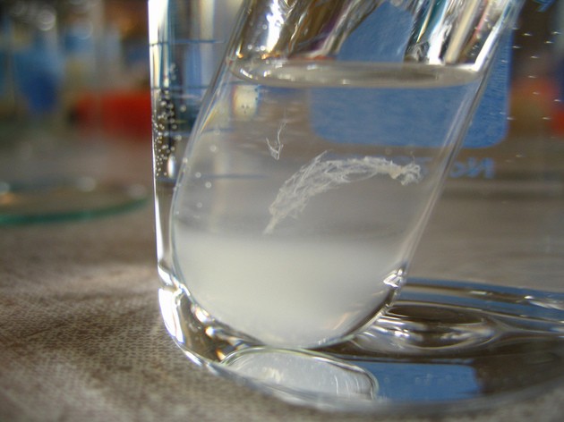 Ciencia en casa: cómo extraer el ADN de una banana