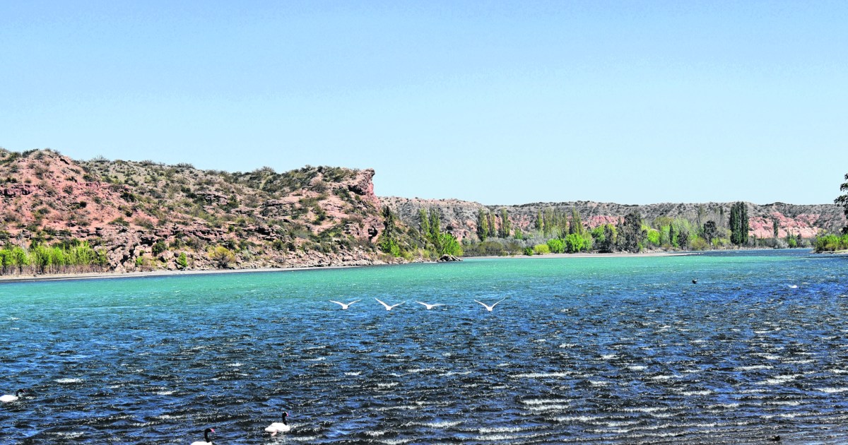 Recuperar el contacto natural en la Isla Jordán - Diario Río Negro