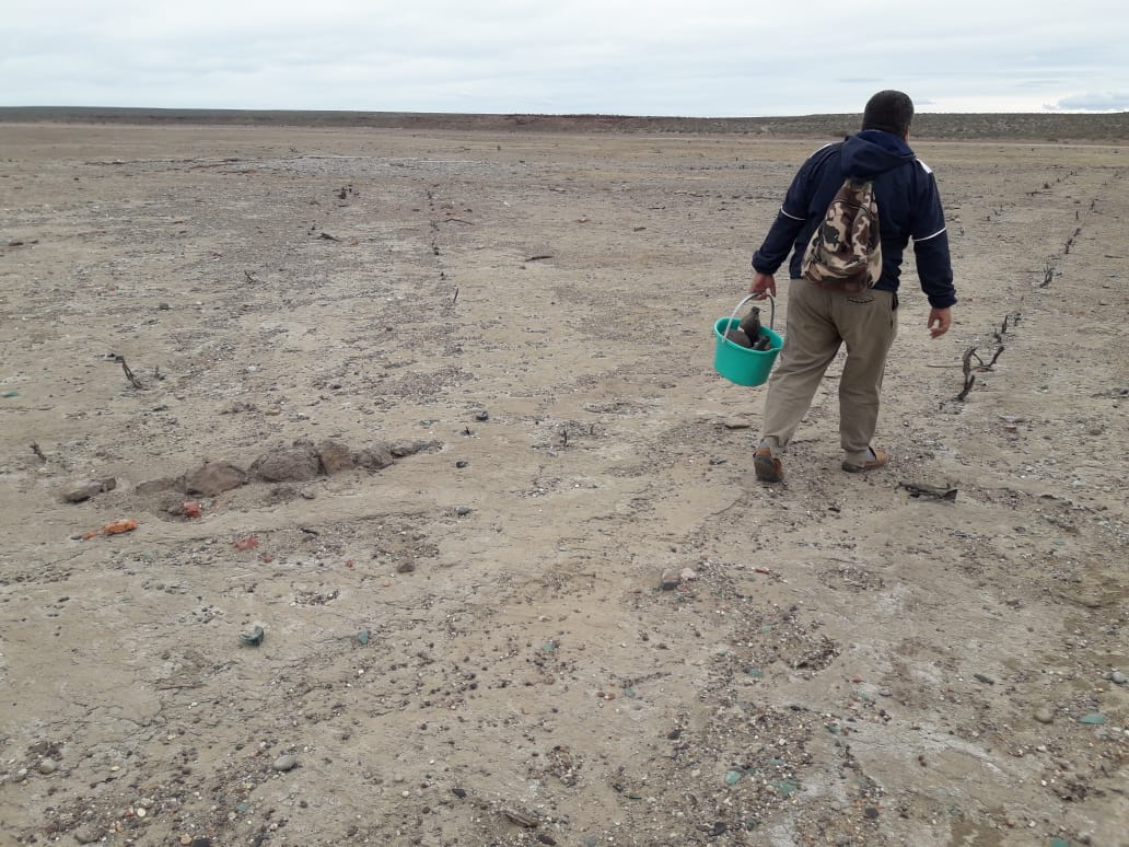 Picún Leufú salió a rescatar el pueblo que tapó el lago - Diario Río Negro