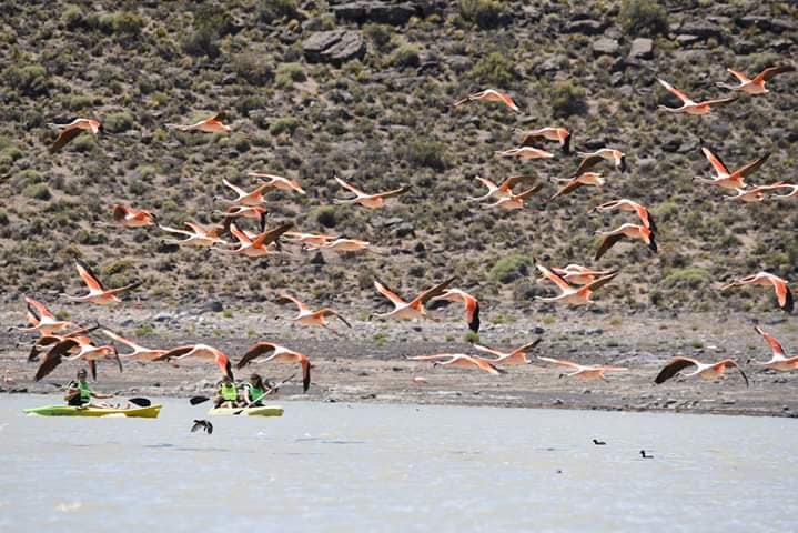 La región sur y un turismo para disfrutar en pandemia - Diario Río Negro