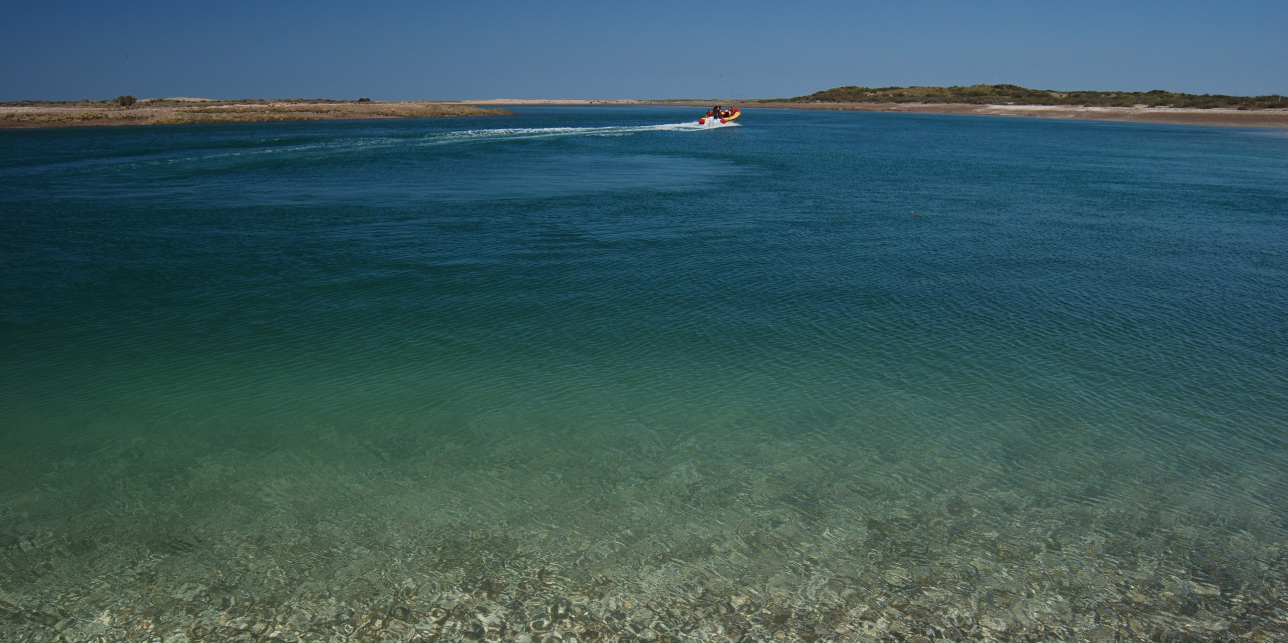 Punta Perdices, el caribe de la Patagonia, una escapada perfecta desde ...
