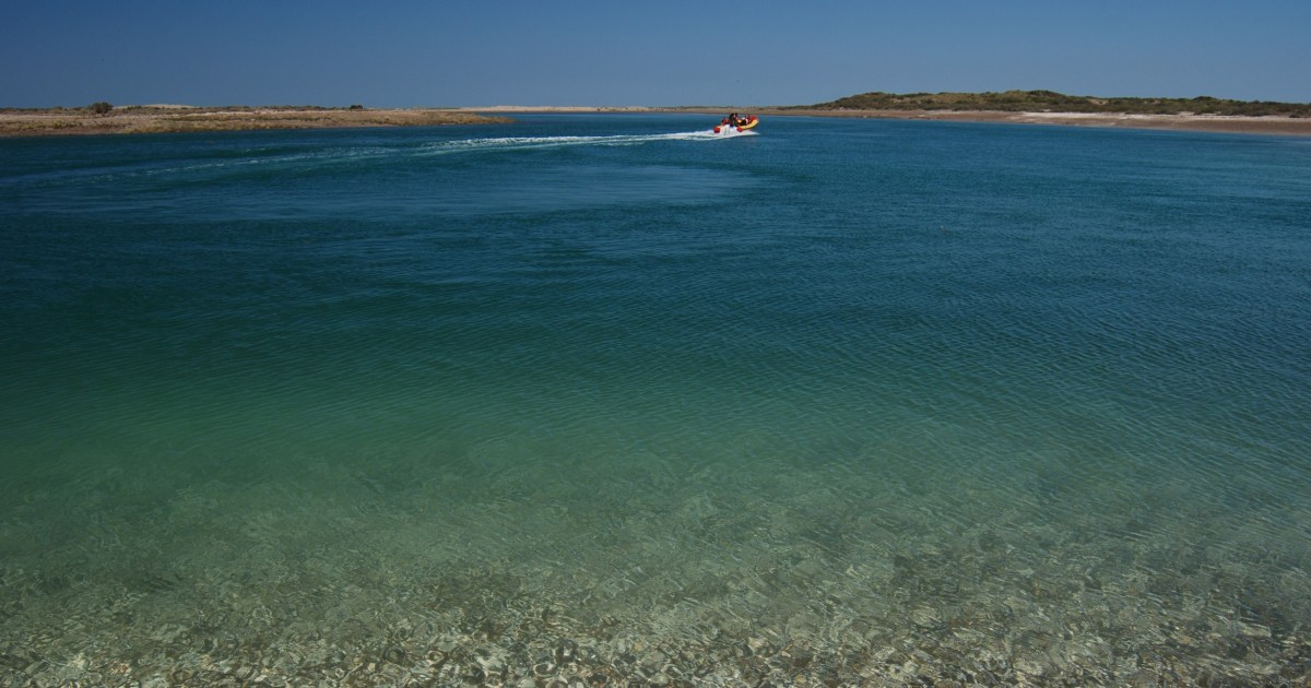 Punta Perdices, el caribe de la Patagonia, una escapada perfecta desde ...