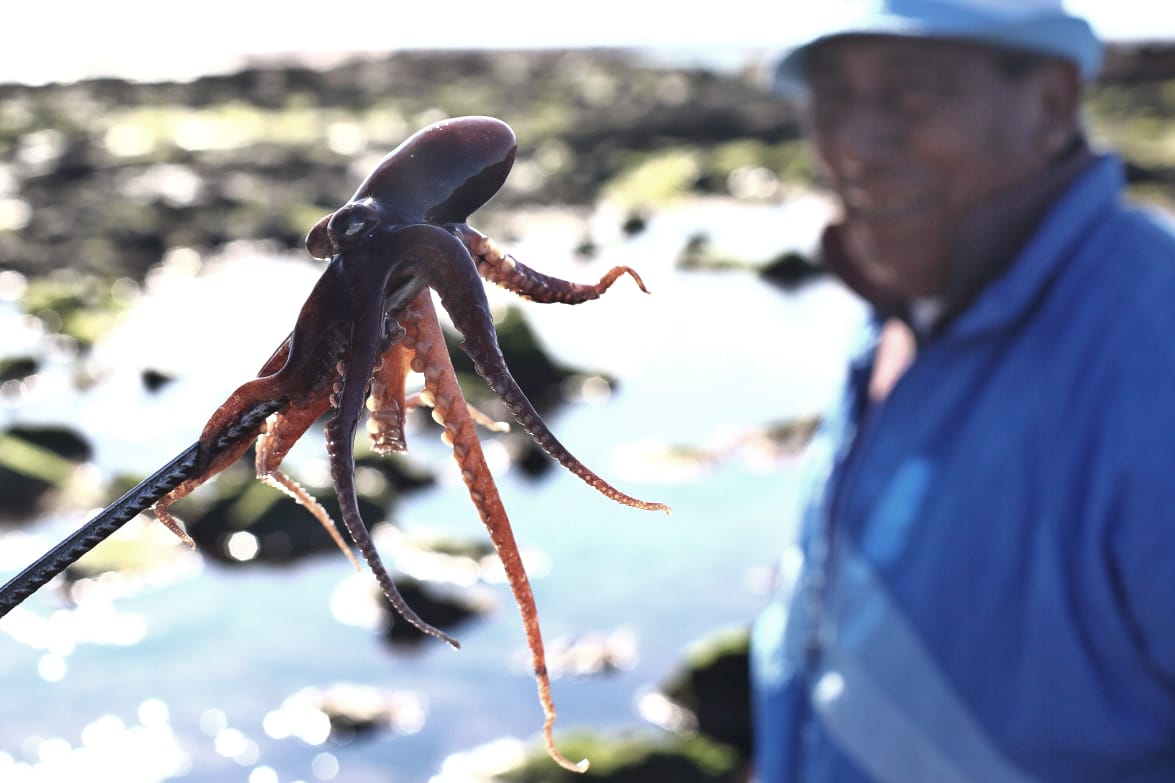 Zuncho, el maestro de pulperos en Las Grutas - Diario Río Negro