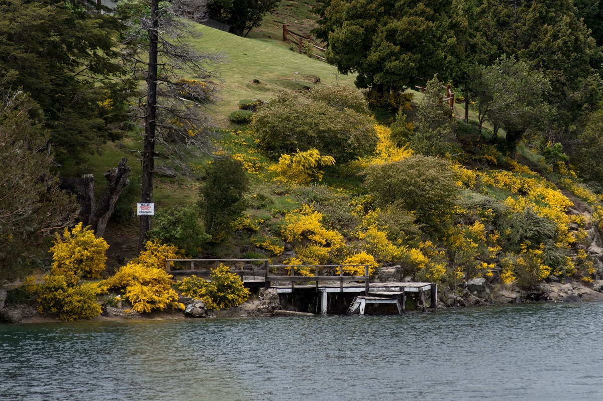 Bariloche sale a relevar los muelles y alambrados del lago Moreno ...