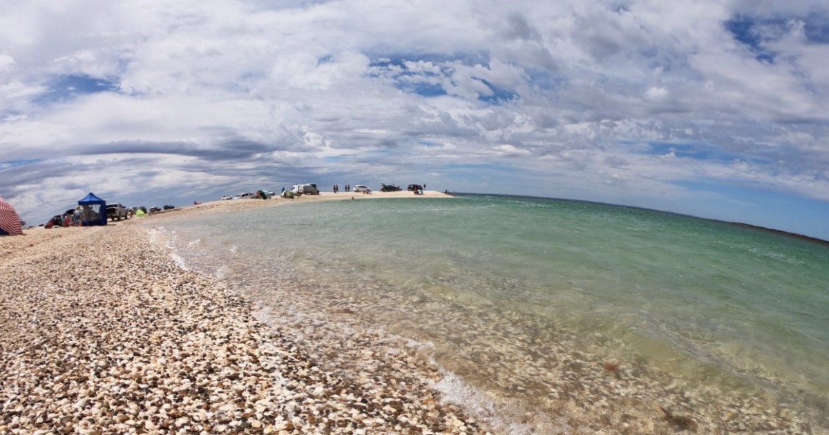 Punta Perdices, el caribe de la Patagonia, un paraíso para disfrutar y ...