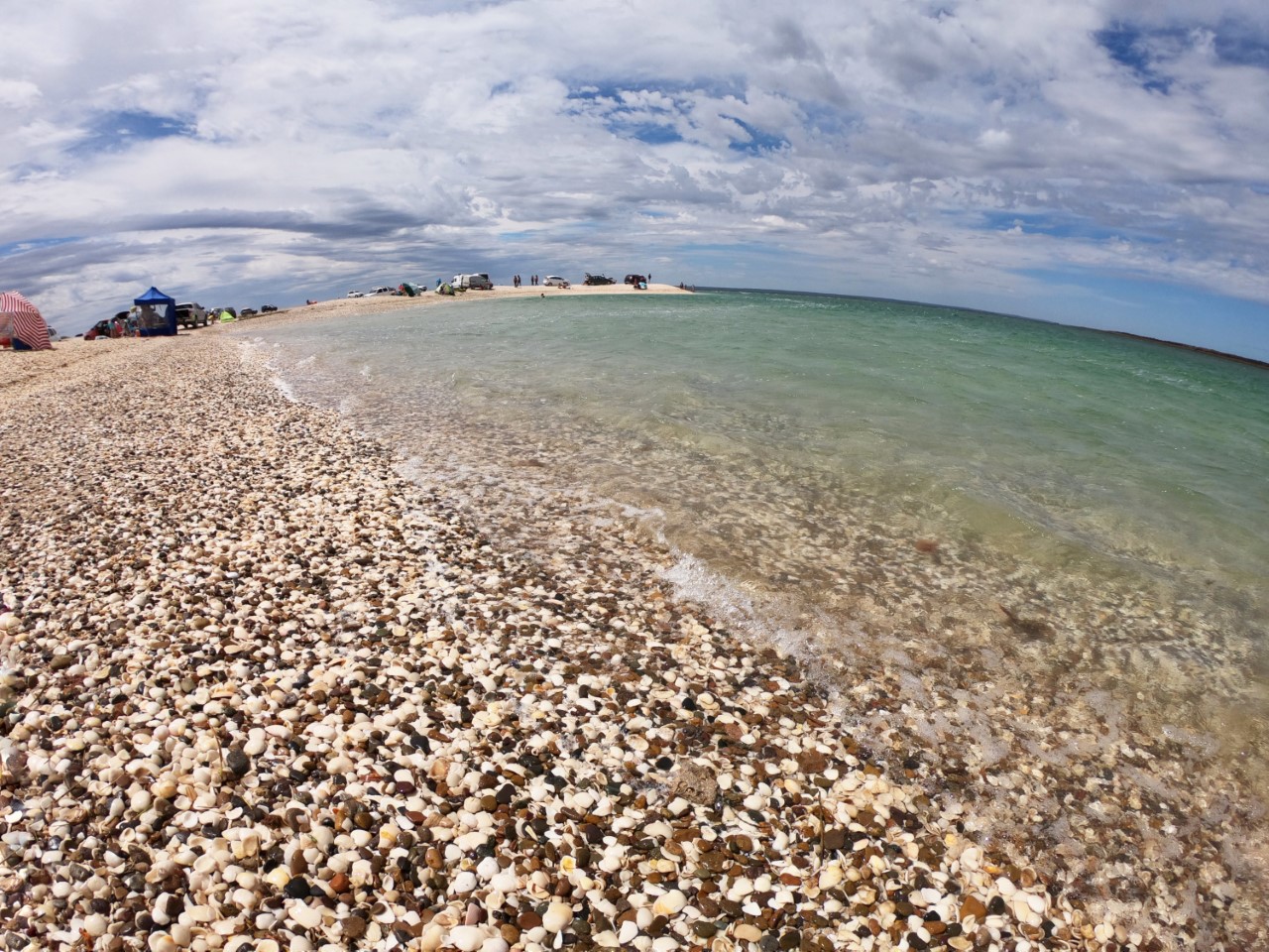 Verano en la Patagonia: de Punta Perdices a Las Grutas, cinco playas ...