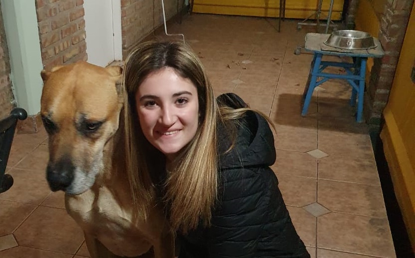 Milo, el perro que se perdió durante 7 meses en una isla de Neuquén ...