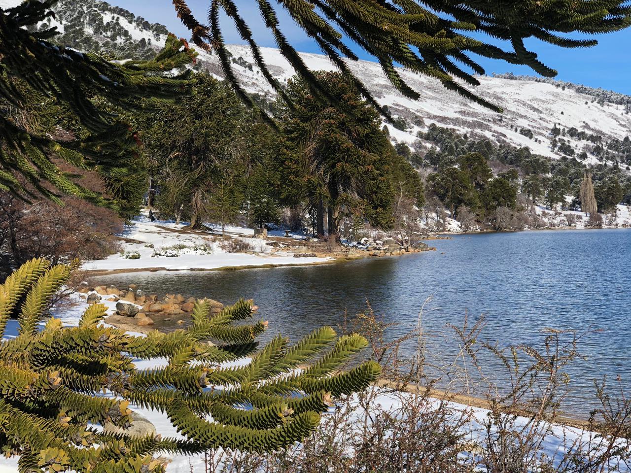 Actividades invernales en Ruca Choroy: nieve, pueblos originarios y ...