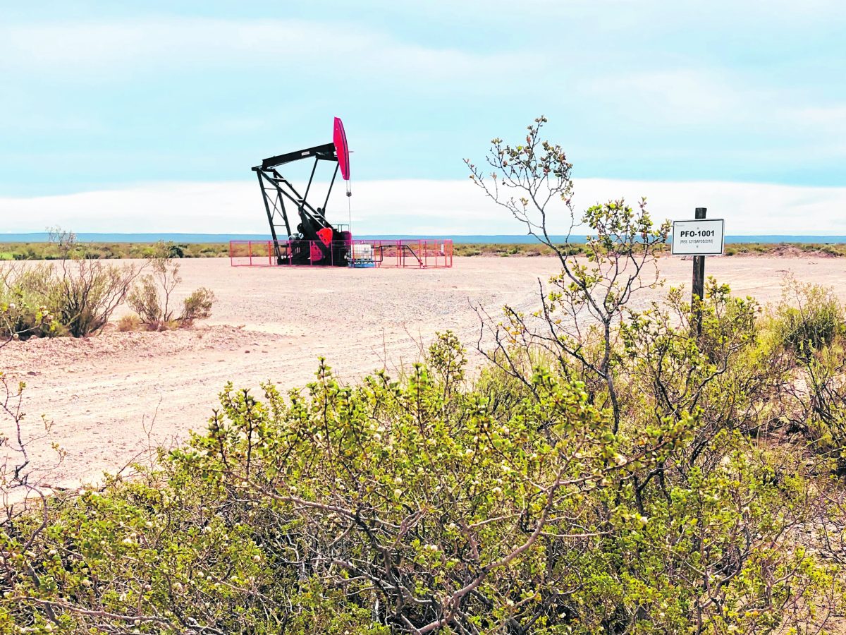 Una por una, cuáles son las 26 concesiones petroleras que Río Negro ...