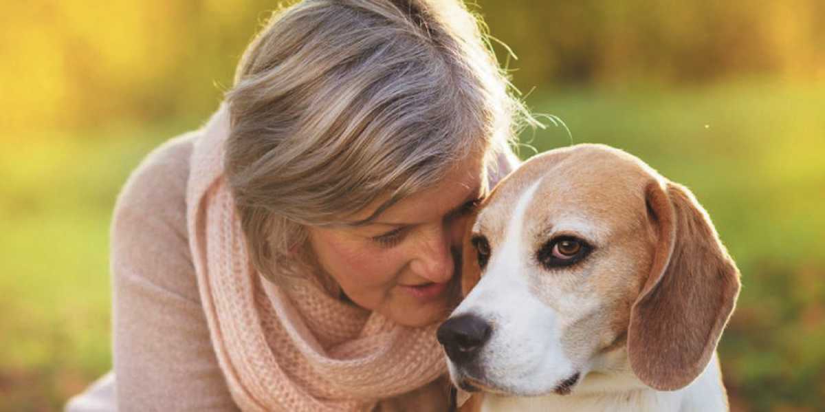 Consejos para “entenderte” mejor con tu perro - Diario Río Negro