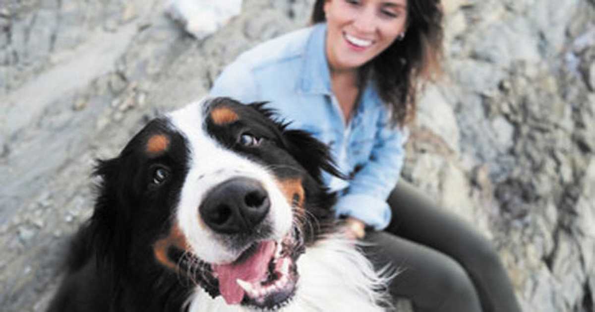 Consejos para “entenderte” mejor con tu perro - Diario Río Negro