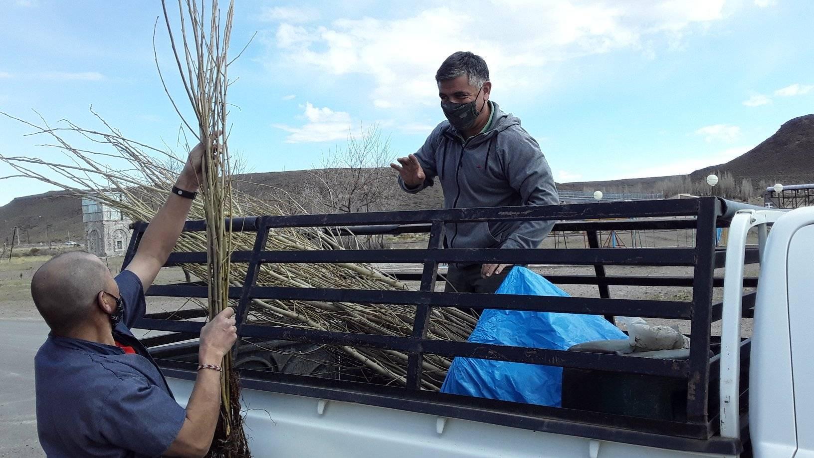 La Región Sur suma 45.000 árboles a la lucha contra la desertificación ...