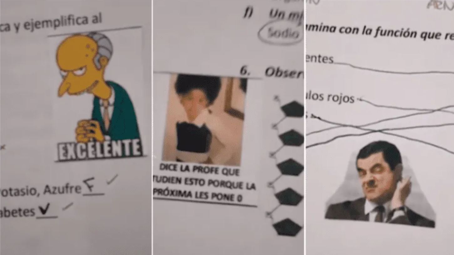 La maestra que corrige exámenes con memes y es furor en las redes ...