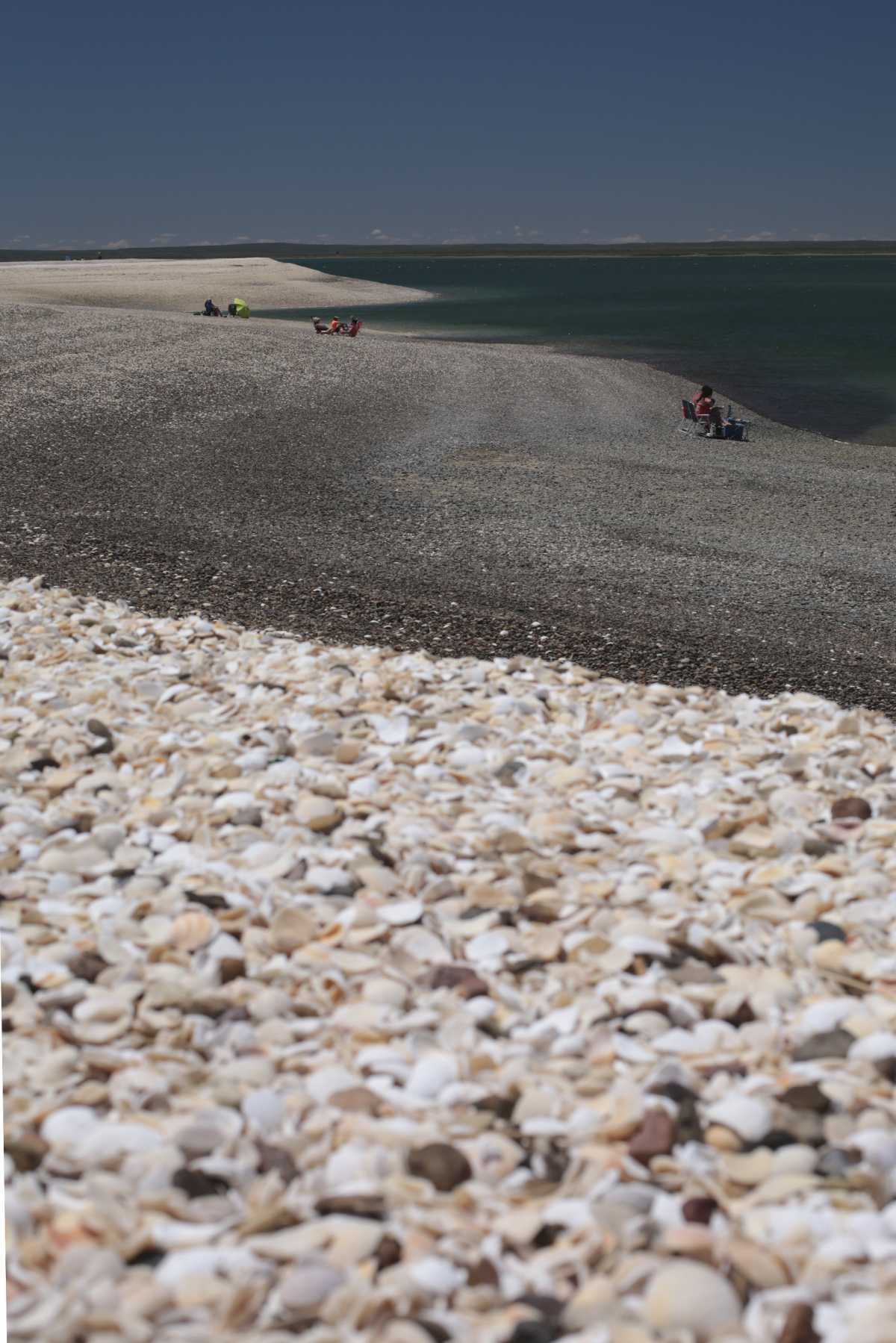Punta Perdices, La Conchilla y Punta Villarino: nuevas pautas para ...