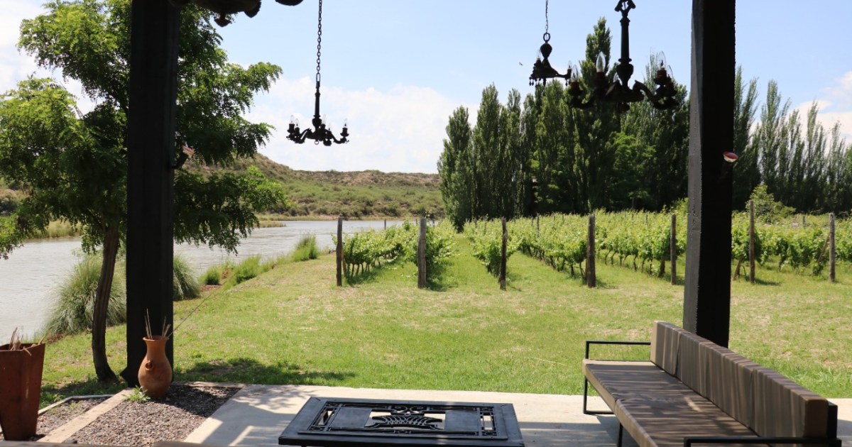 Cómo hizo para crear esta bodega con perfil turístico en Río Colorado ...
