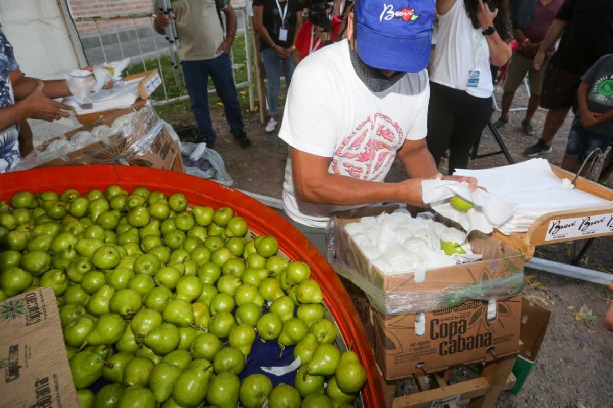 Fiesta Nacional de la Pera: el homenaje a la producción comienza hoy en ...