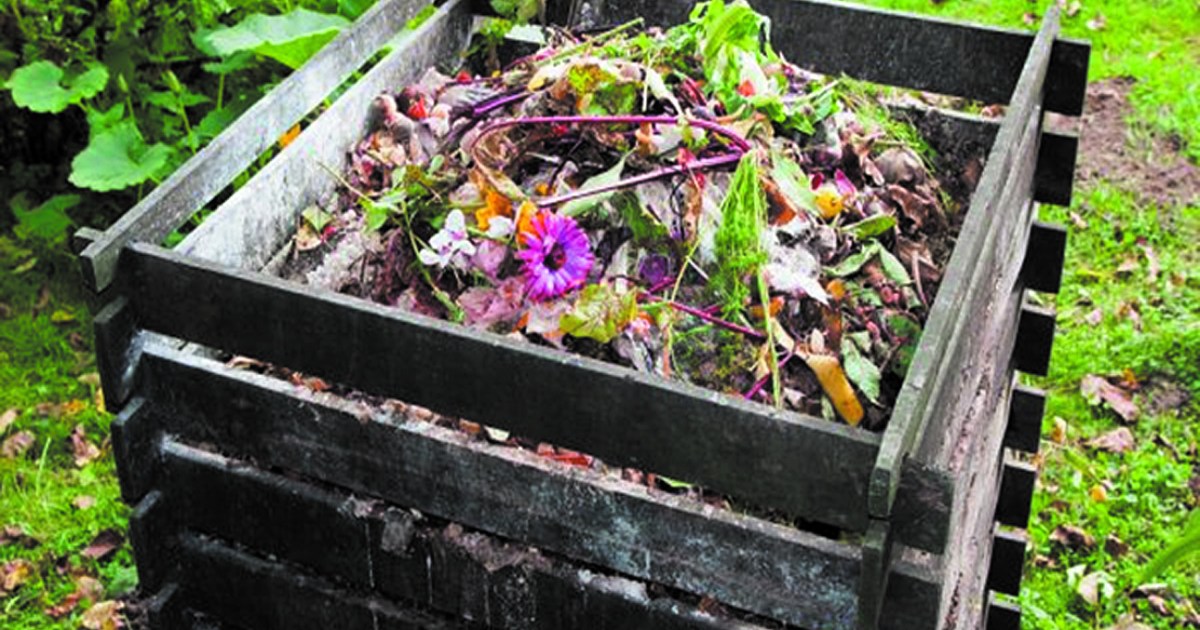 Mes del compostaje: UNRN promueve el reciclaje de residuos orgánicos en ...