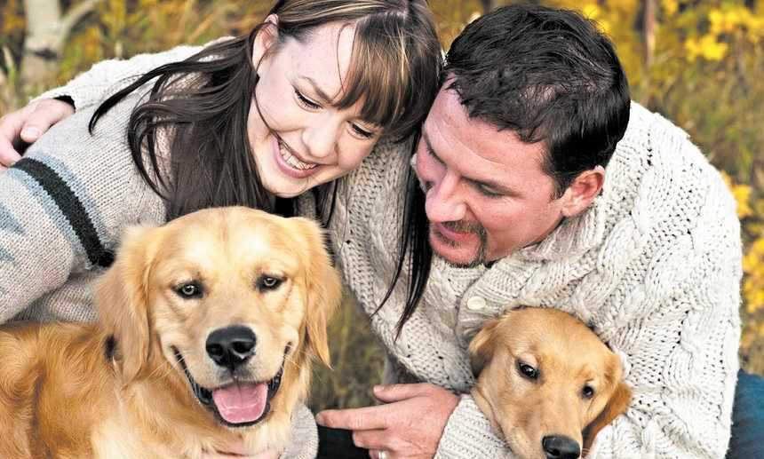 “Parte de la familia, parte de la Ley”: impulsan campaña para que las ...