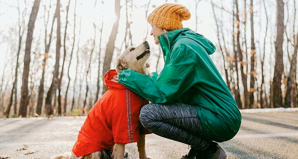 Video: Cuándo abrigar a nuestras mascotas - Diario Río Negro