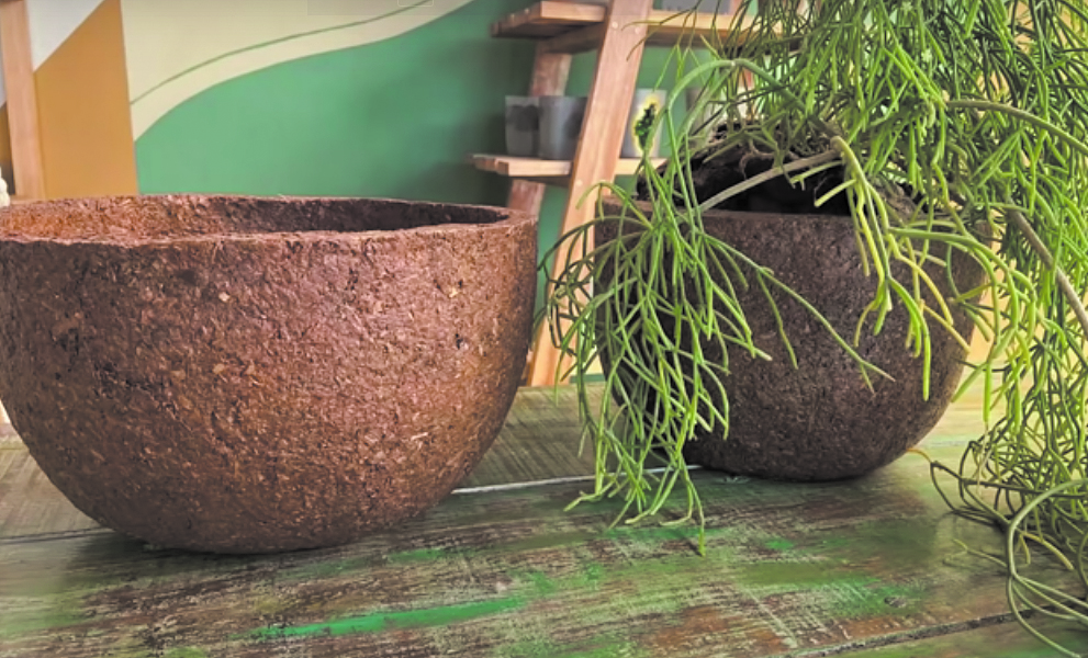 Macetas ecológicas: ¿querés aprender a hacerlas? - Diario Río Negro