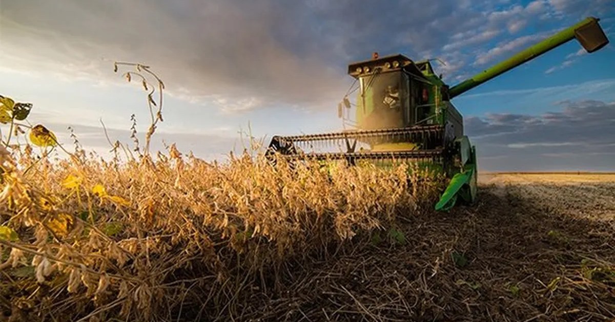 Milei presidente electo: cómo será la eliminación de las retenciones al ...