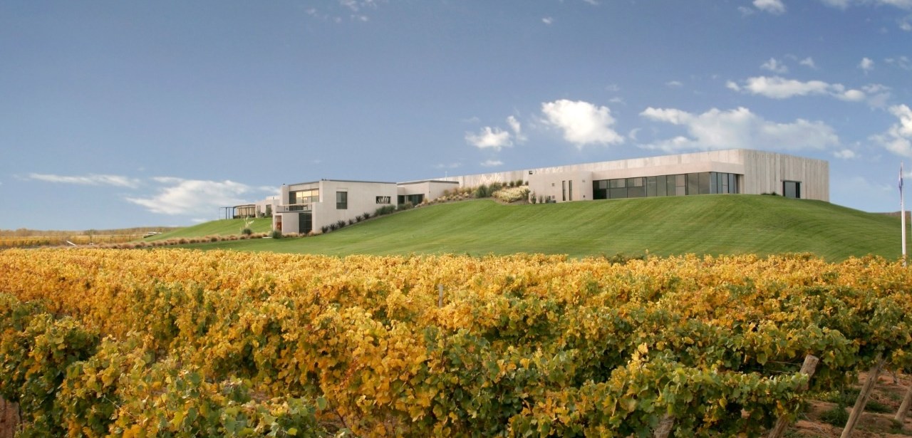 Un recorrido por viñedos de bodega Malma, una buena opción al turismo ...