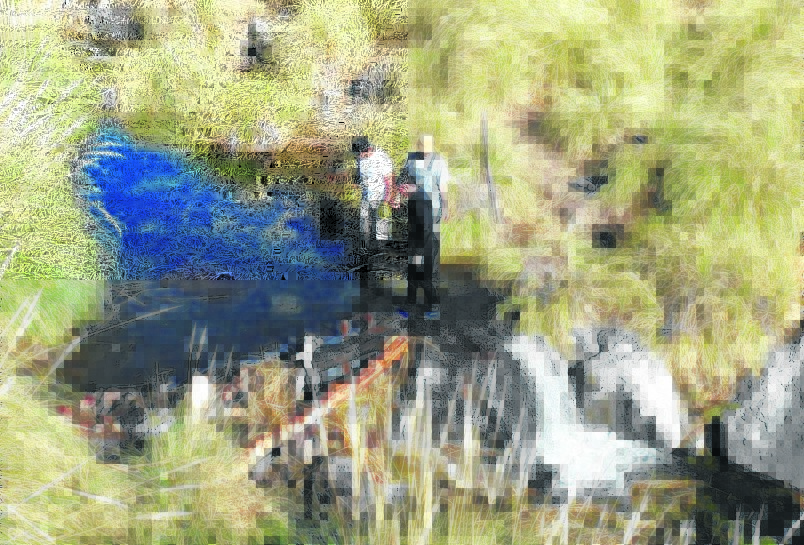 Qué bonito es el paraje Chipauquil - Diario Río Negro