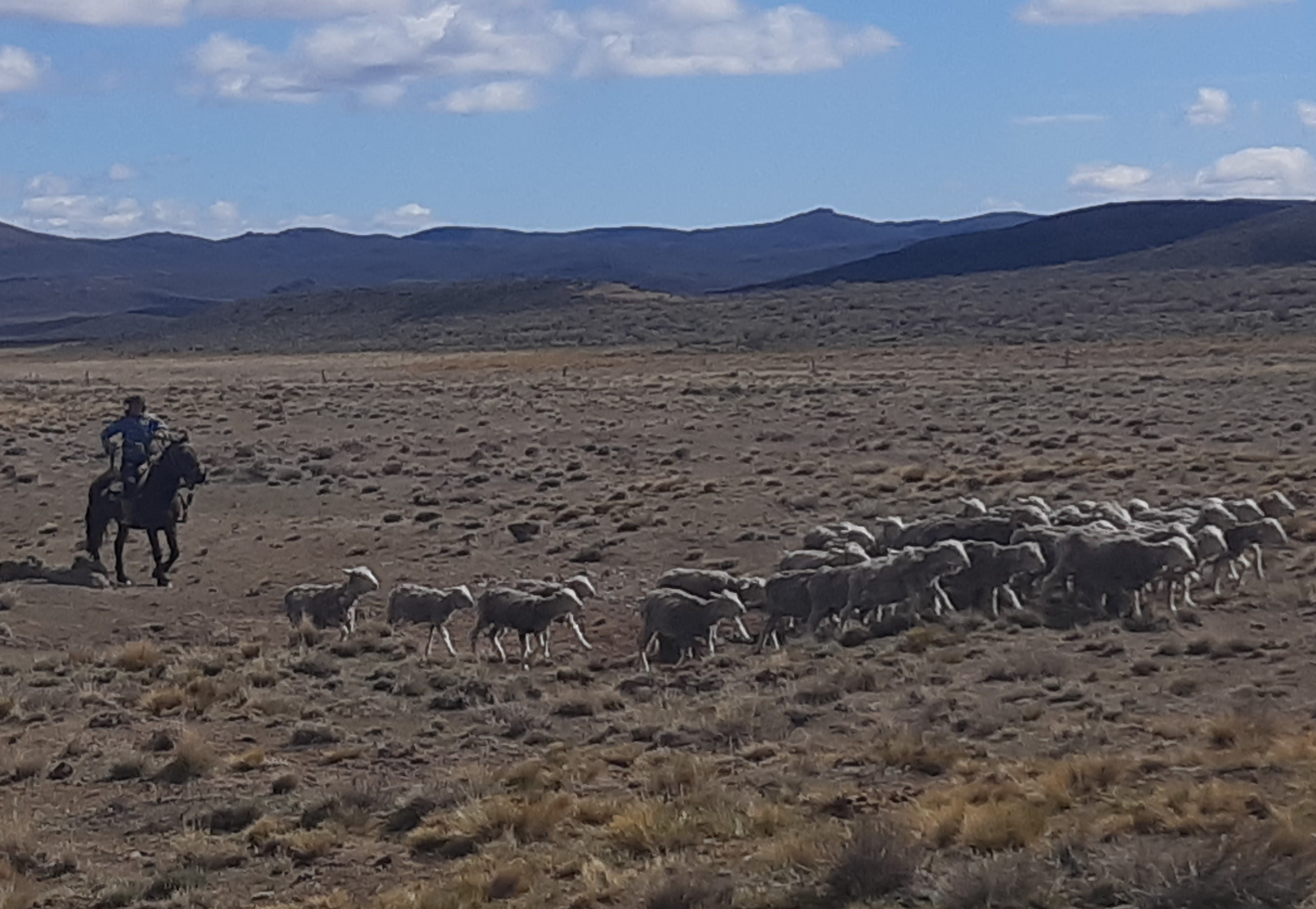 Buscan reforzar la “organización y la solidaridad” para combatir la ...