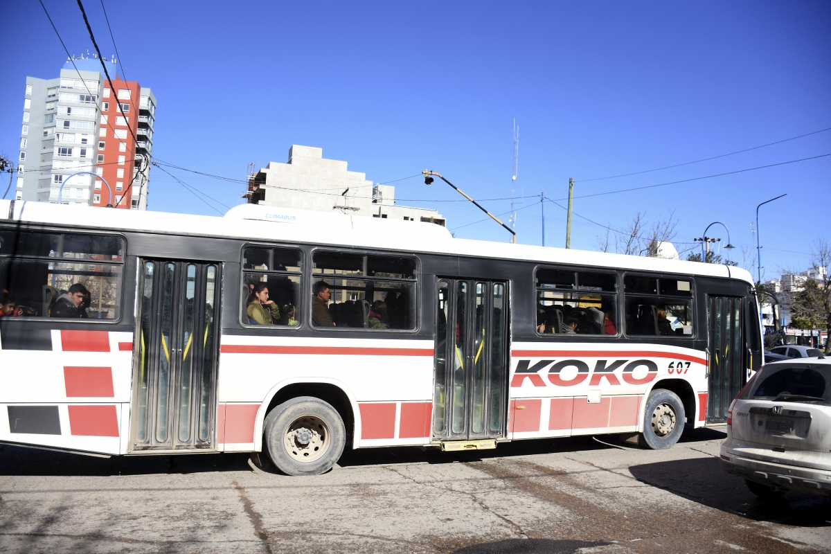Todo sobre los nuevos colectivos en Neuquén: desde cuándo funcionarán ...