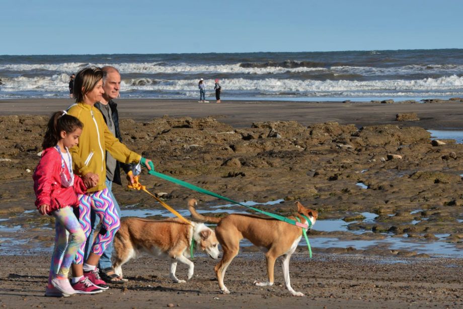Se viene la playa para perros en El Cóndor - Diario Río Negro