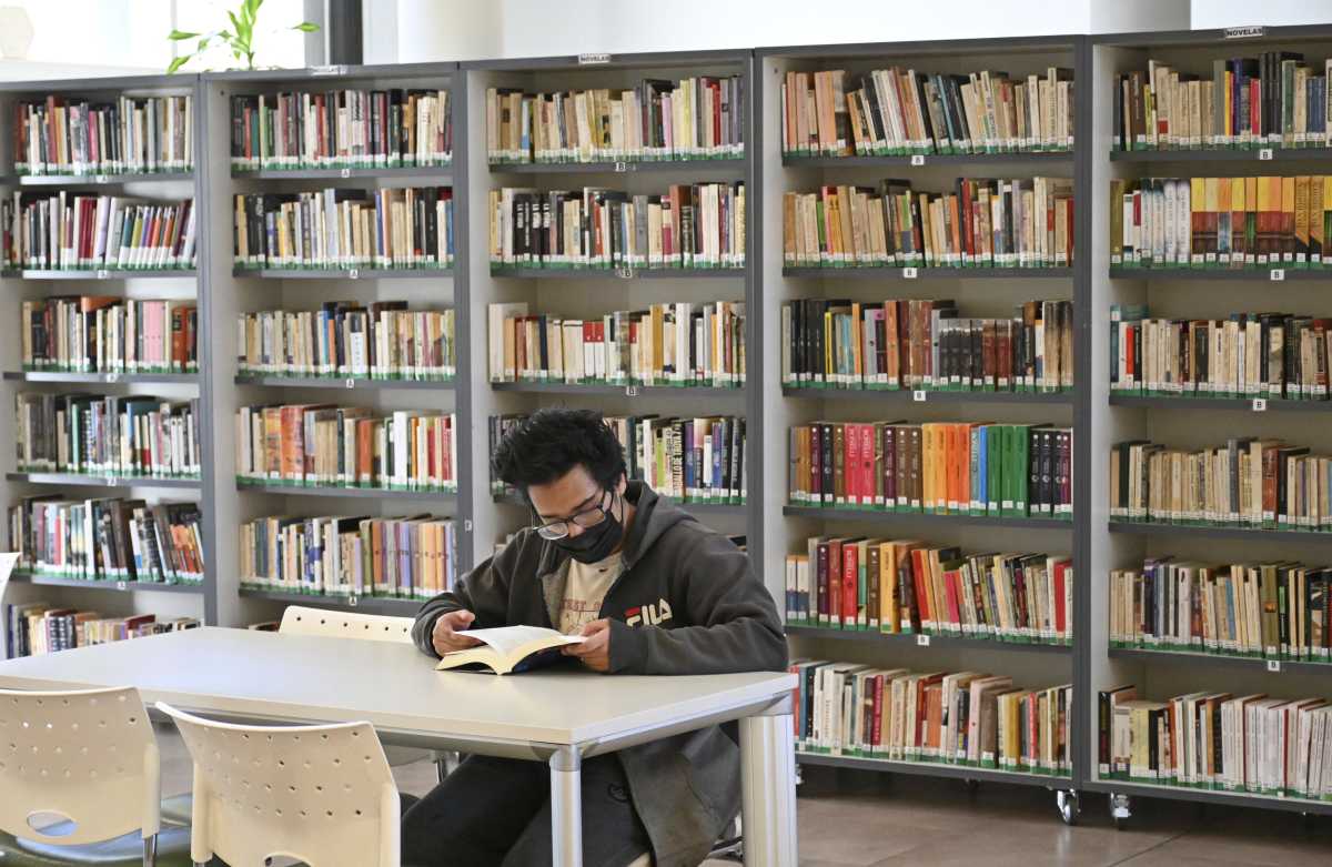 Este viernes empieza la Noche de las Bibliotecas Populares en Neuquén - Diario Río Negro