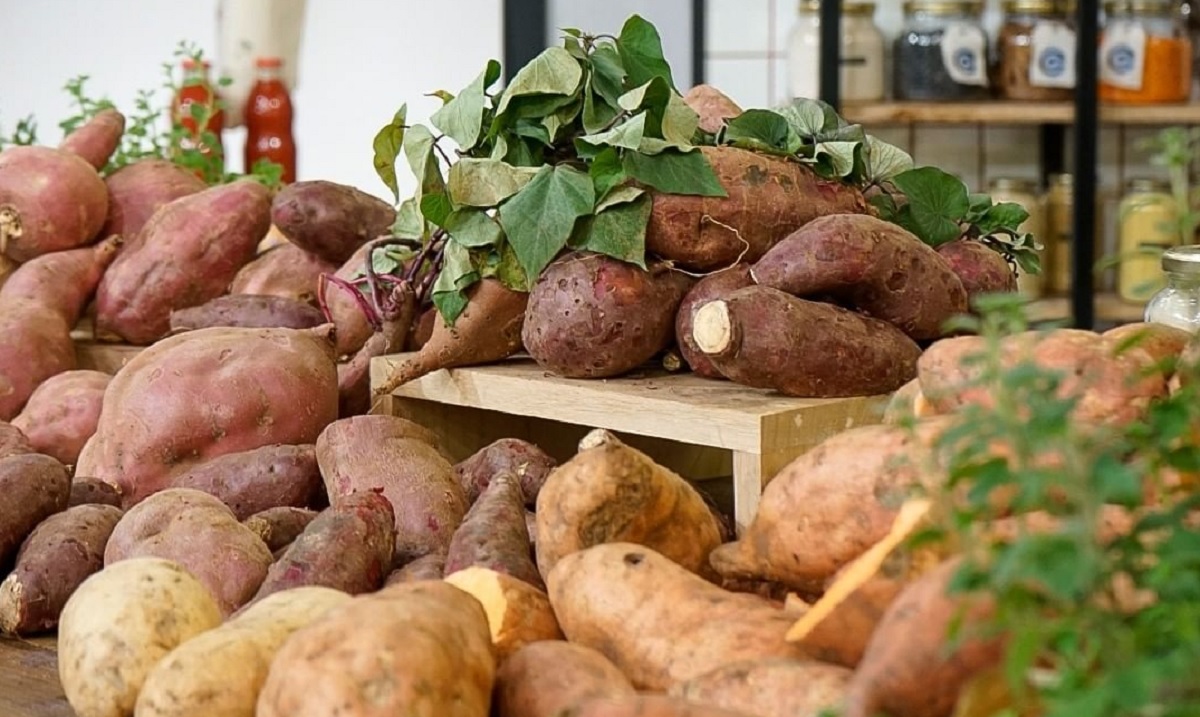 Cómo hacer dulce de batata - Diario Río Negro