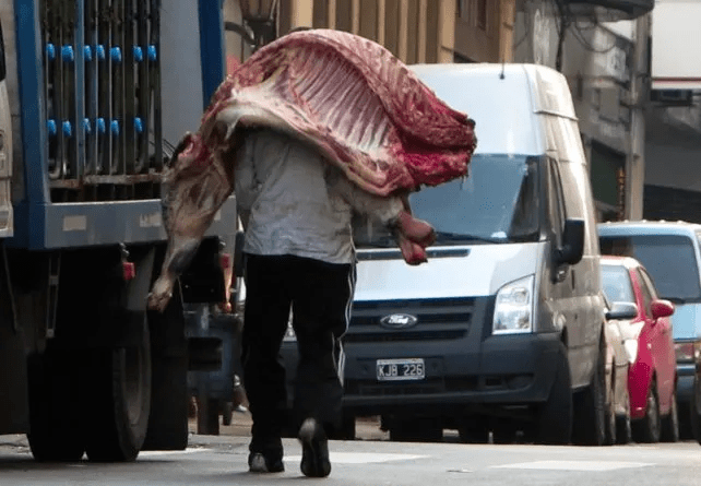 Adiós a la media res: buscan mayor eficiencia y mejores precios ...