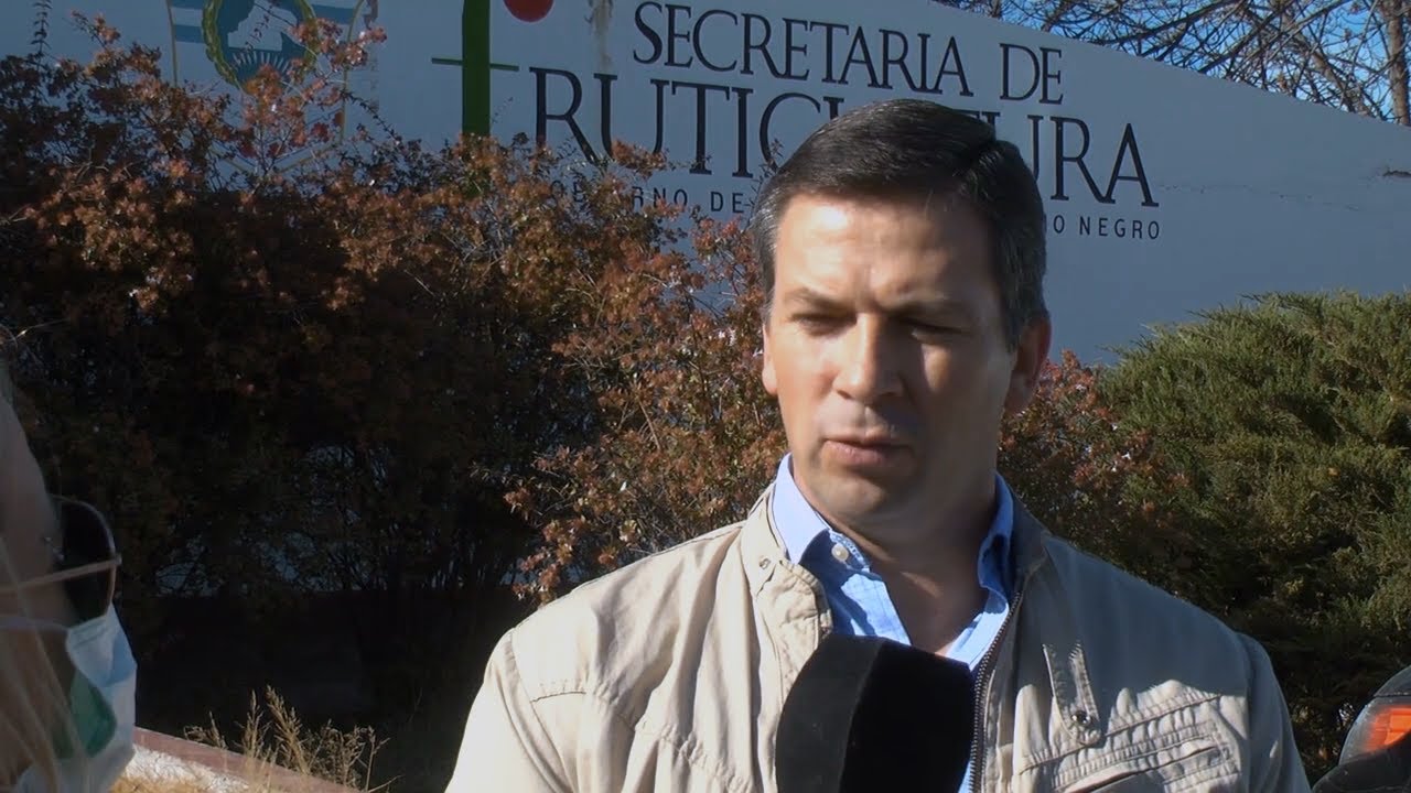 Las pérdidas en la fruticultura suman 20.000 millones de pesos - Diario Río Negro