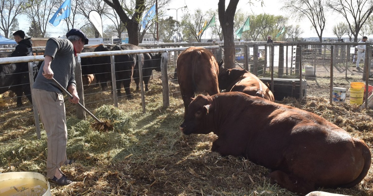 42° Expo Rural de Choele Choel: “Para la zona es un gran beneficio ...