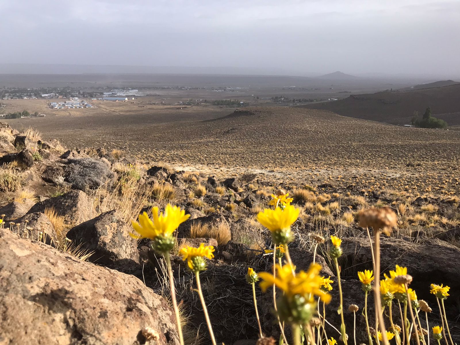 Paseos imperdibles para vivir los 106 años de Jacobacci, en la Región ...