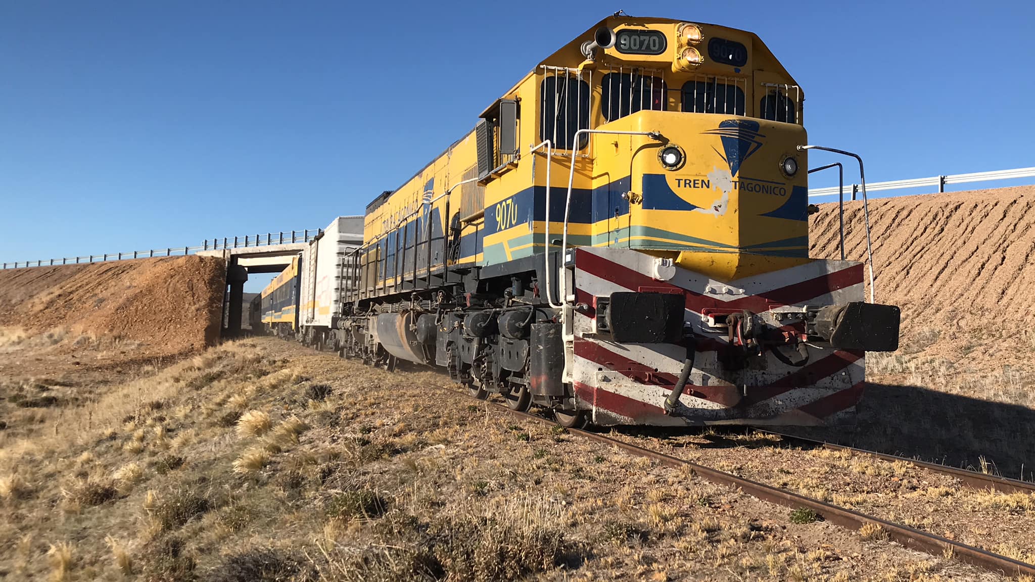 Mirá qué belleza estos 5 viajes en tren para descubrir la primavera en ...