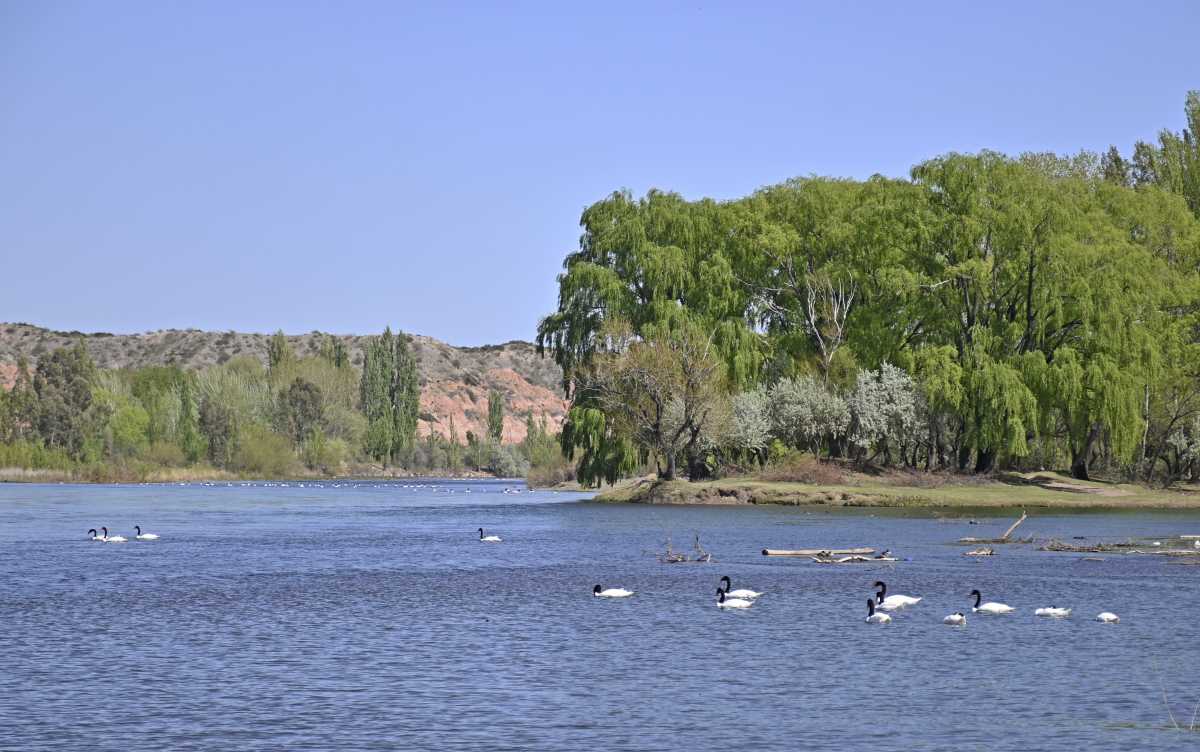 Aniversario de Cipolletti: conectar con la naturaleza y descubrir los ...