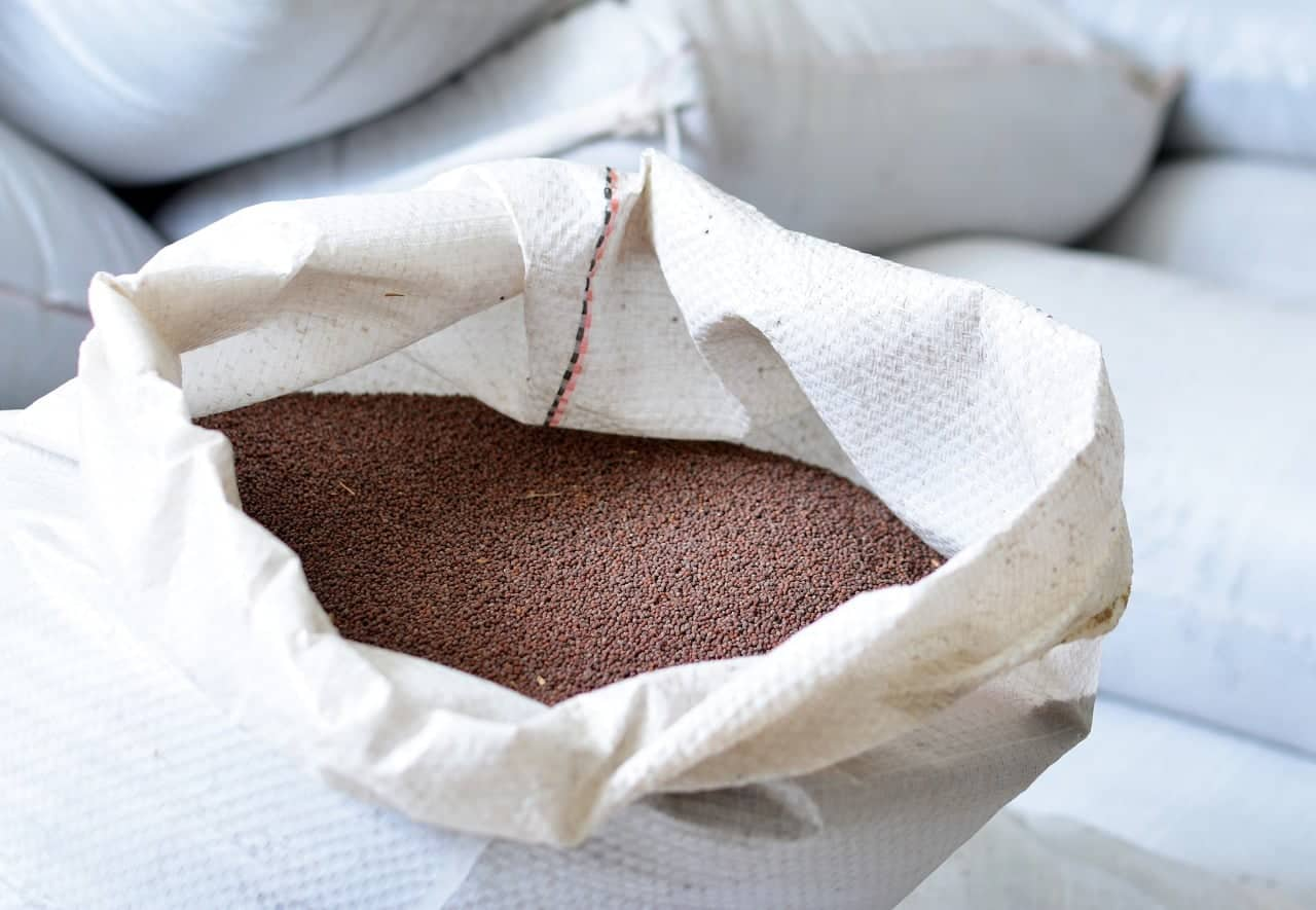 Una experiencia con mostaza en Alto Valle - Diario Río Negro